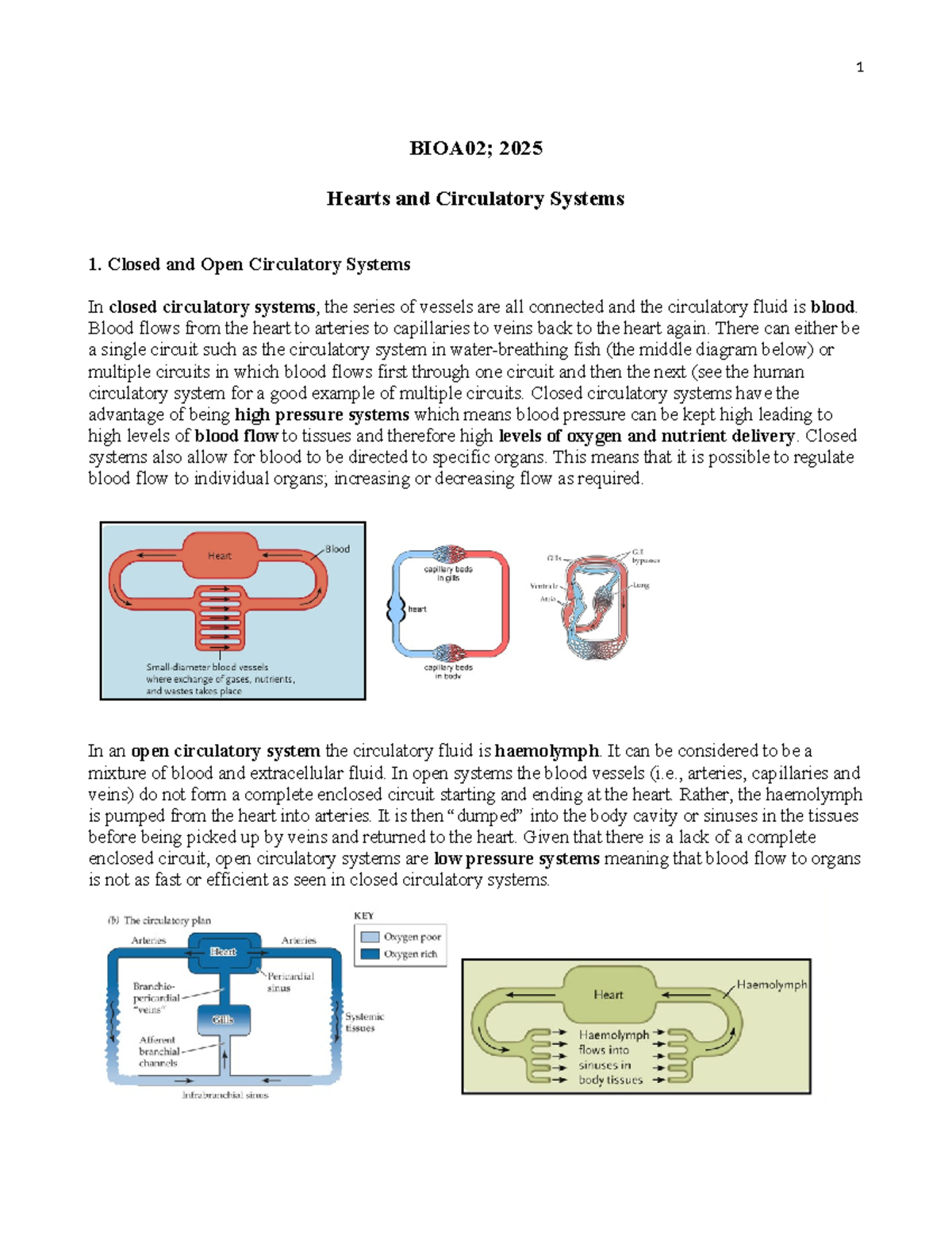 BIOA02 Lecture 5 Notes: Circulatory Systems of Hearts and More - Studocu