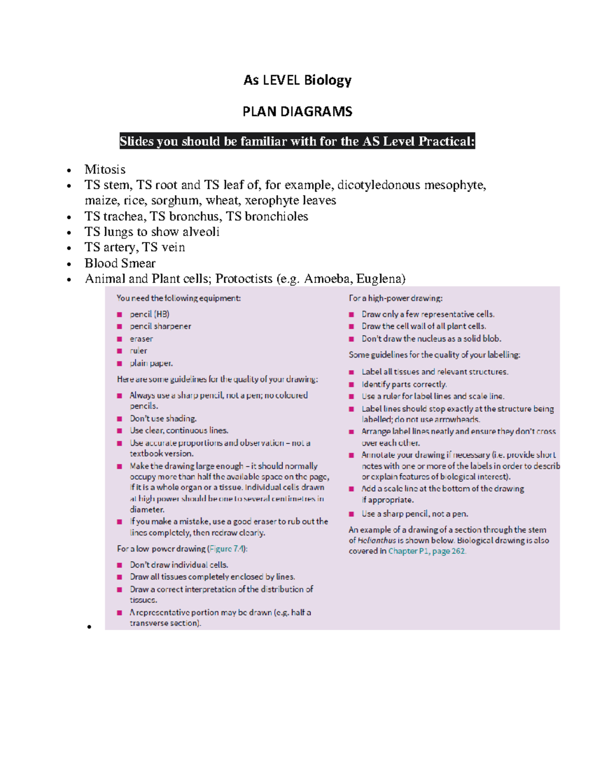 AS Level Biology Practical: Key Plan Diagrams for Mitosis & TS Plants ...