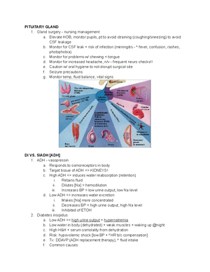Study guide for endocrine system Med-surg, nursing notes - ENDOCRINE ...