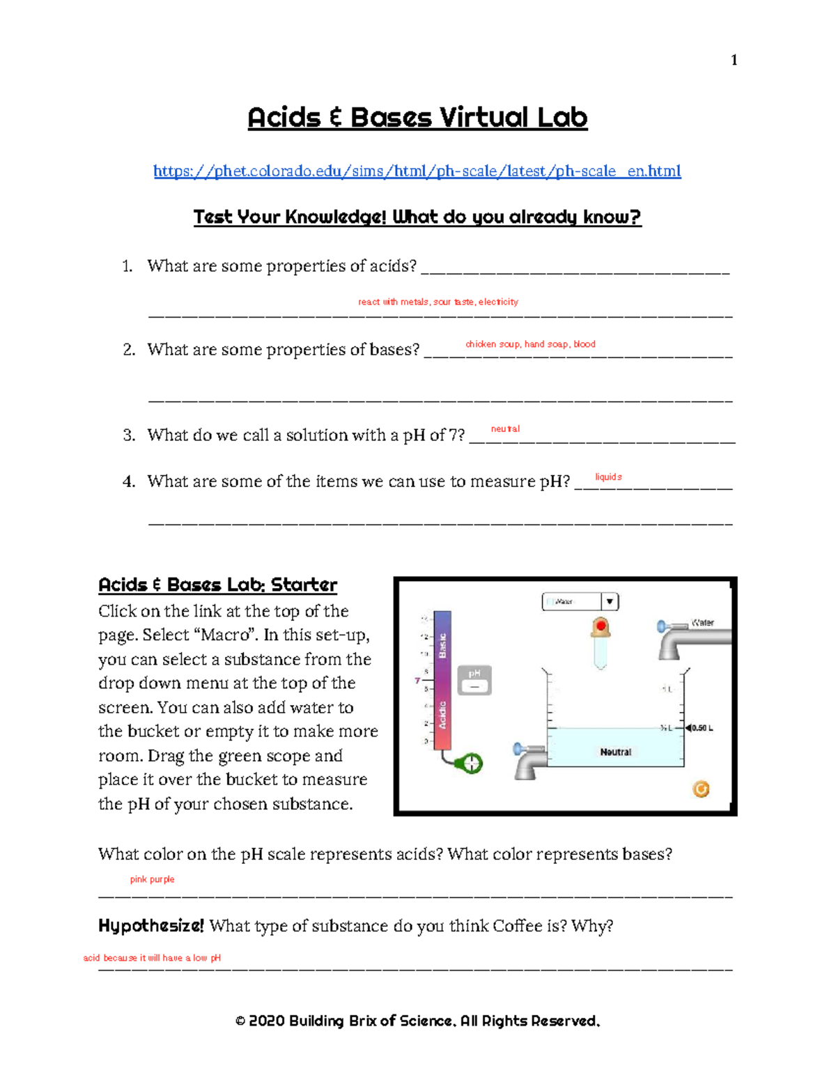 Acids & Bases Virtual Lab Worksheet - Test Your Knowledge! - Studocu