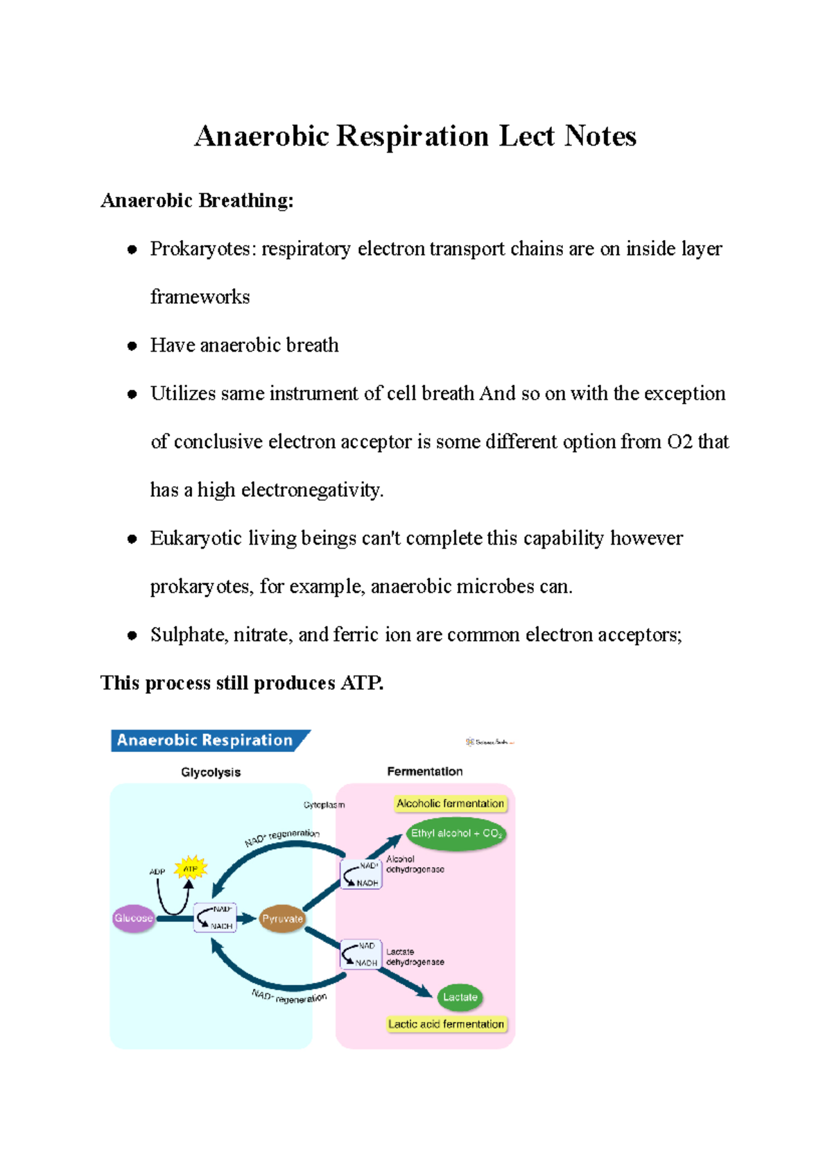 Anaerobic Respiration Lect Notes - Anaerobic Respiration Lect Notes ...