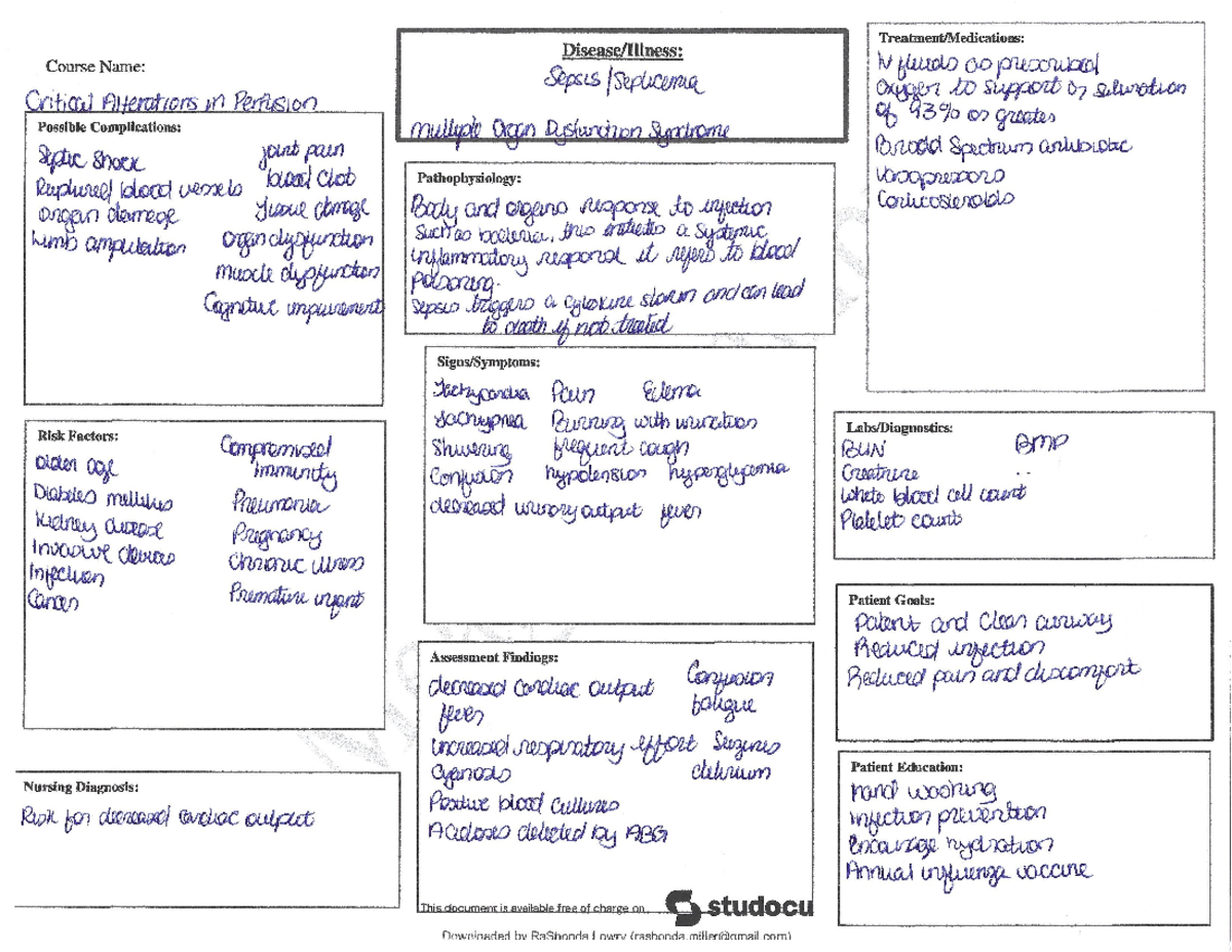 Sepsis Concept Map - Fundamental Overview and Key Principles - Studocu
