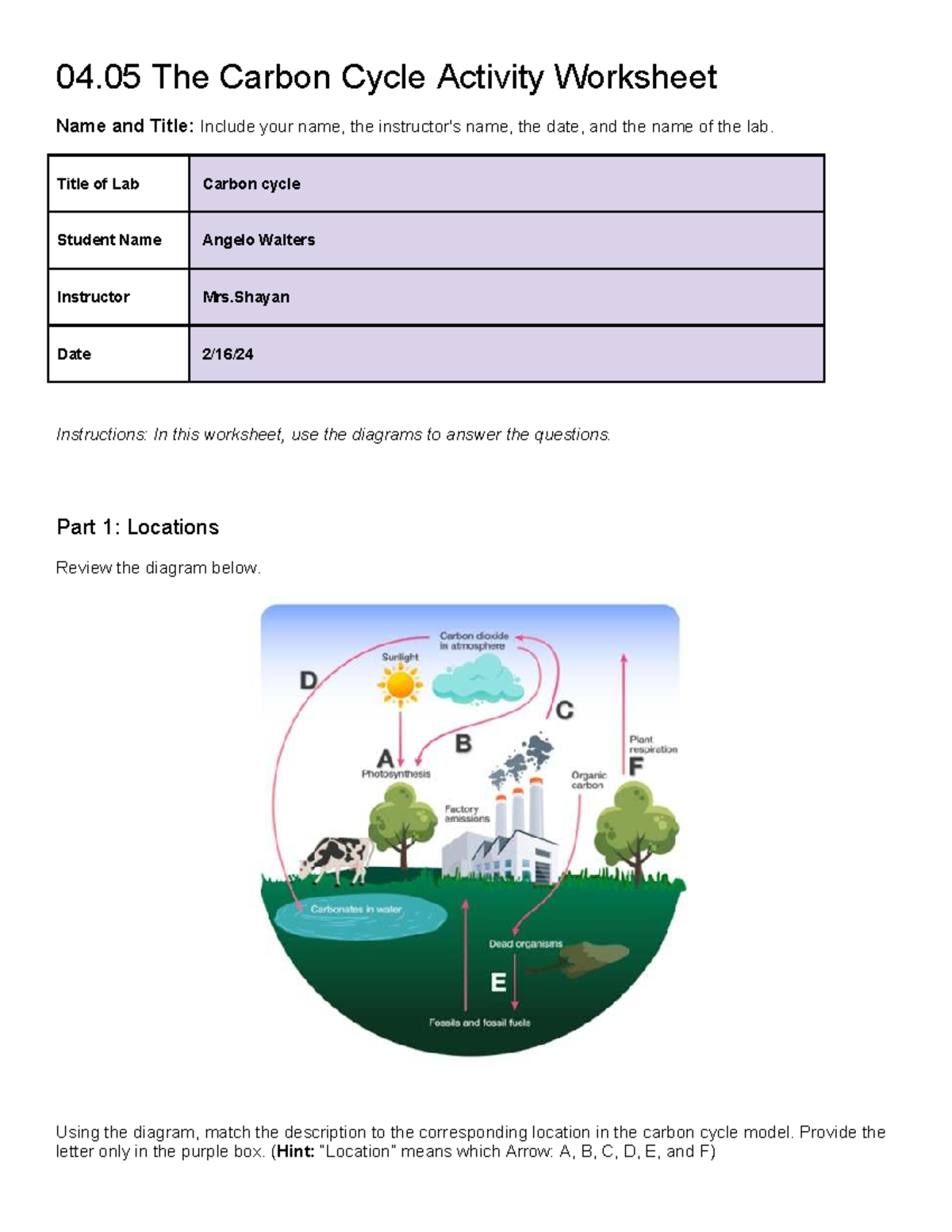 04.05 Carbon Cycle Activity Worksheet - Sci Lab by Angelo Walters - Studocu