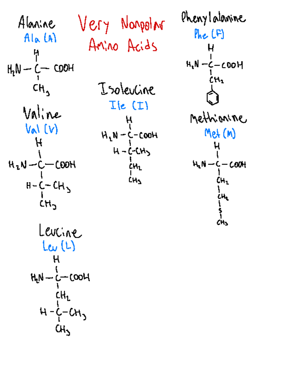 Amino Acid Memorization Guide for Biochemistry (BIO 101) - Studocu