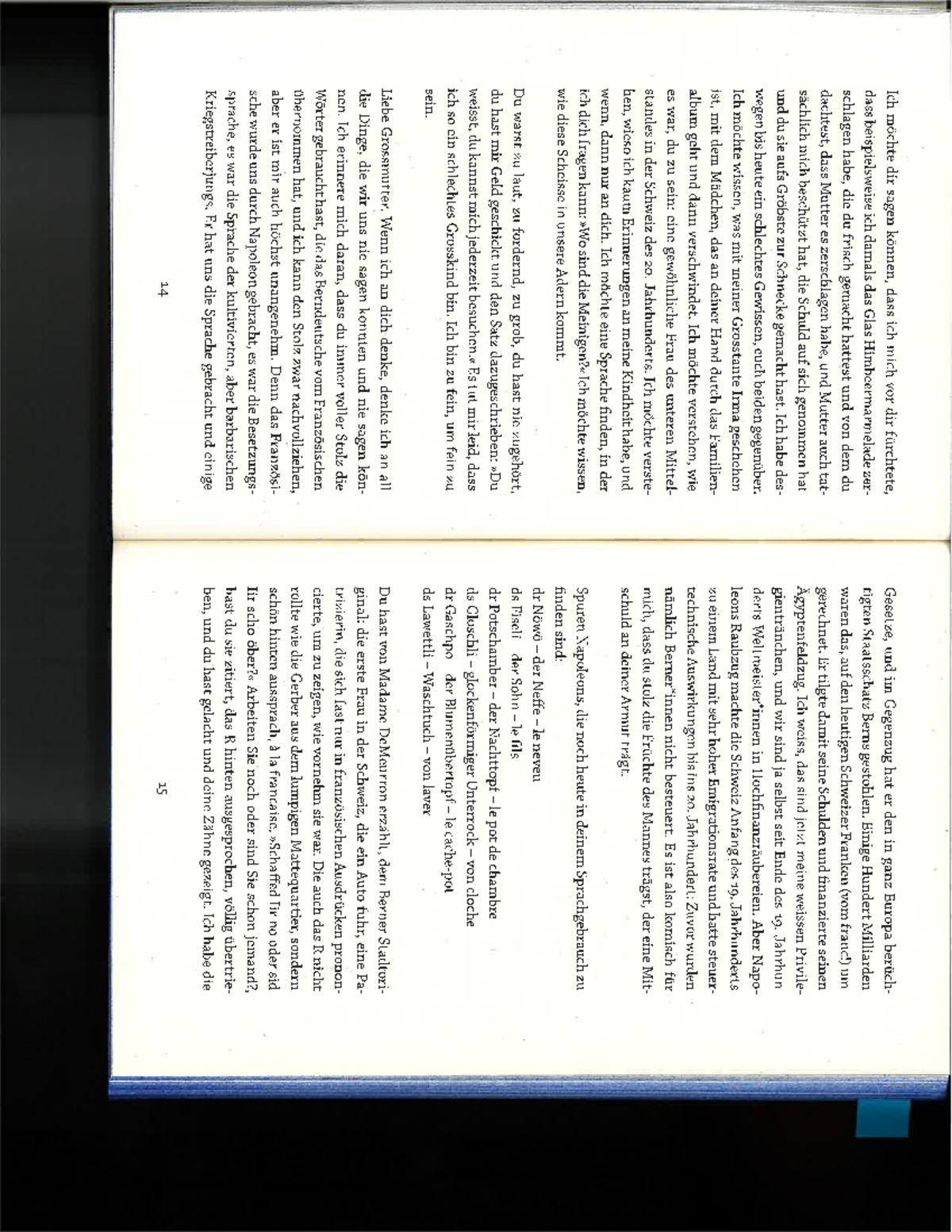 Kim de L'Horizon: Blutbuch - Eine Analyse der Erinnerungen und ...