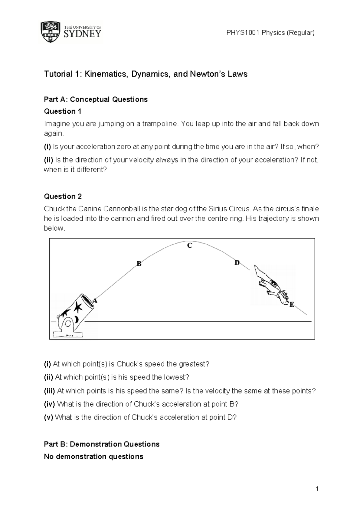 PHYS1001 Tutorial 1: Kinematics & Dynamics - Newton's Laws Explained ...