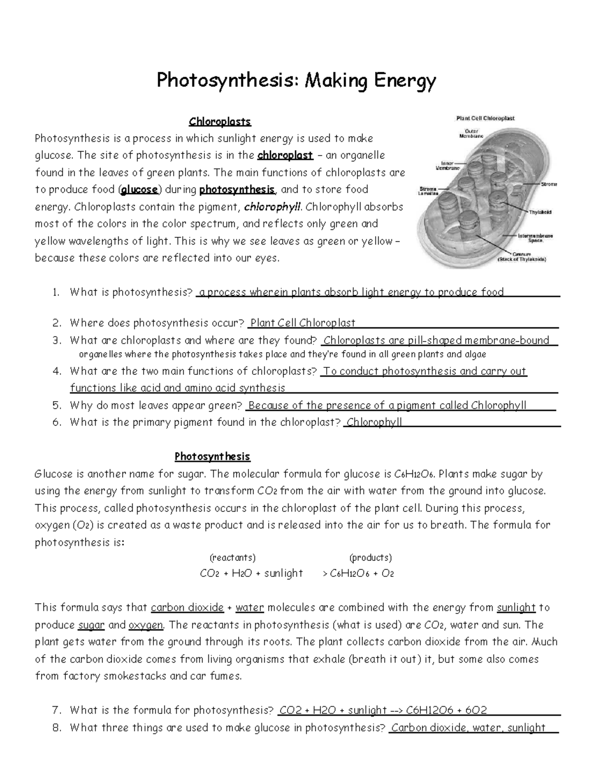Photosynthesis Worksheet: Understanding Chloroplast Functions and ...