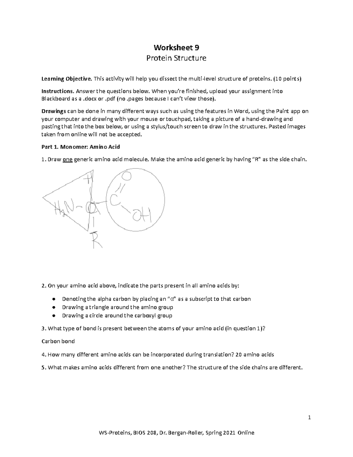 Worksheet 9: Exploring Multi-level Protein Structure Concepts - Studocu