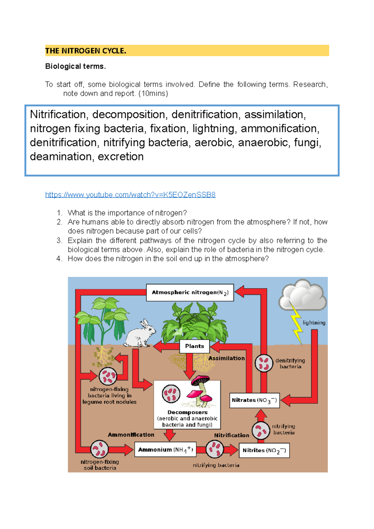 Nitrogen Cycle 10 - nitro notes - THE NITROGEN CYCLE. Biological terms ...
