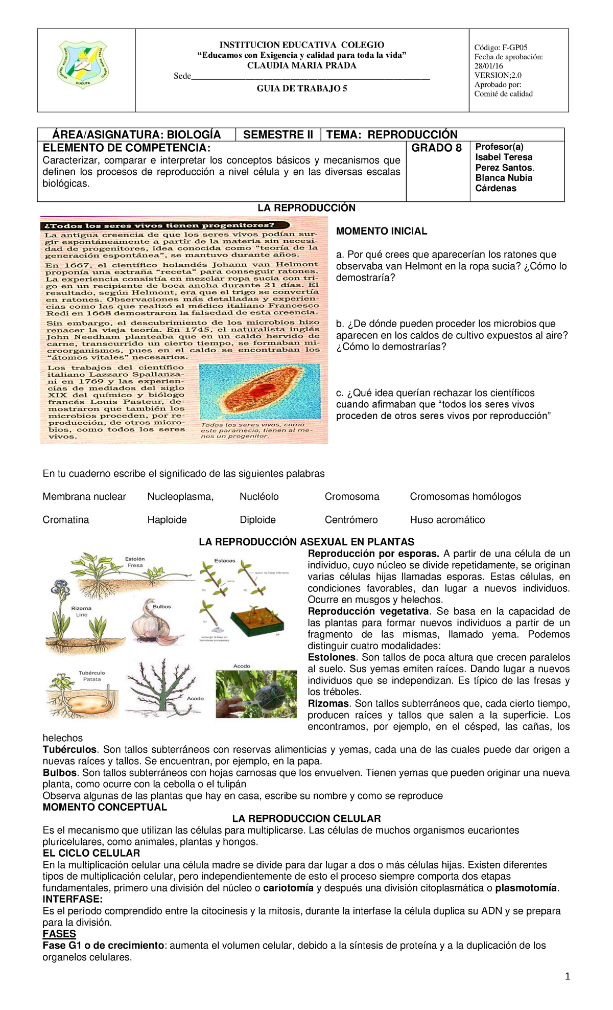 Guía de Trabajo 5: Reproducción en Biología - Grado 8 (Semestre II ...