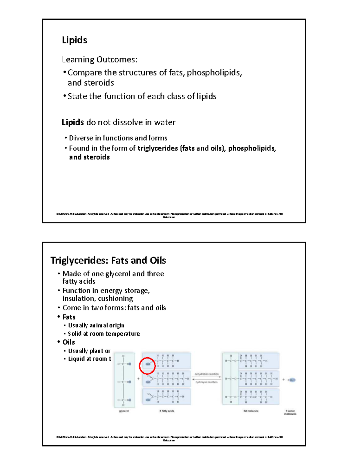 Lipids: Structure, Functions, and Types - Course Notes (BIO101) - Studocu