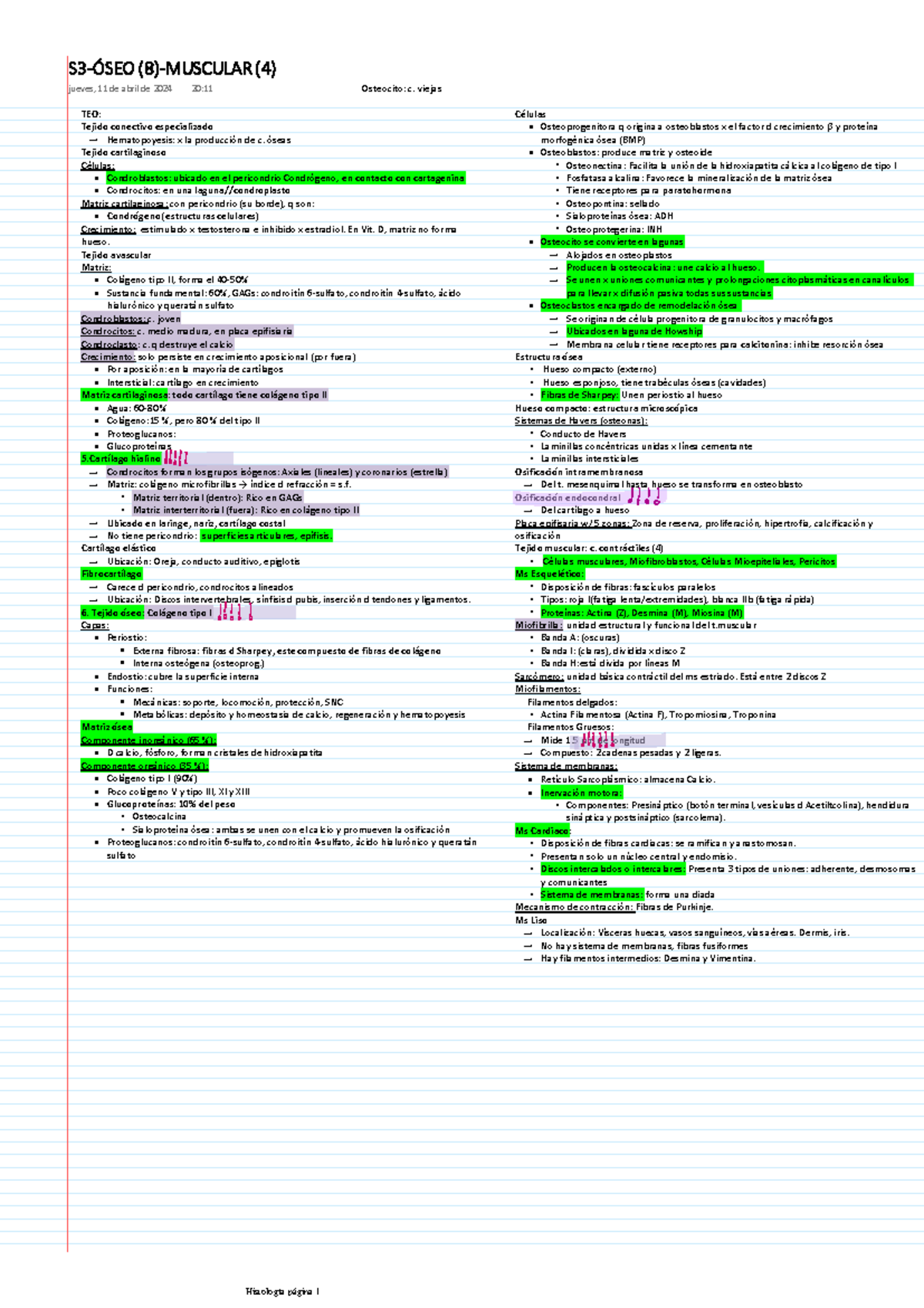S3-ÓSEO (8)- Muscular - Resumen HISTOLOGÍA HUMANA - TEO: → ...