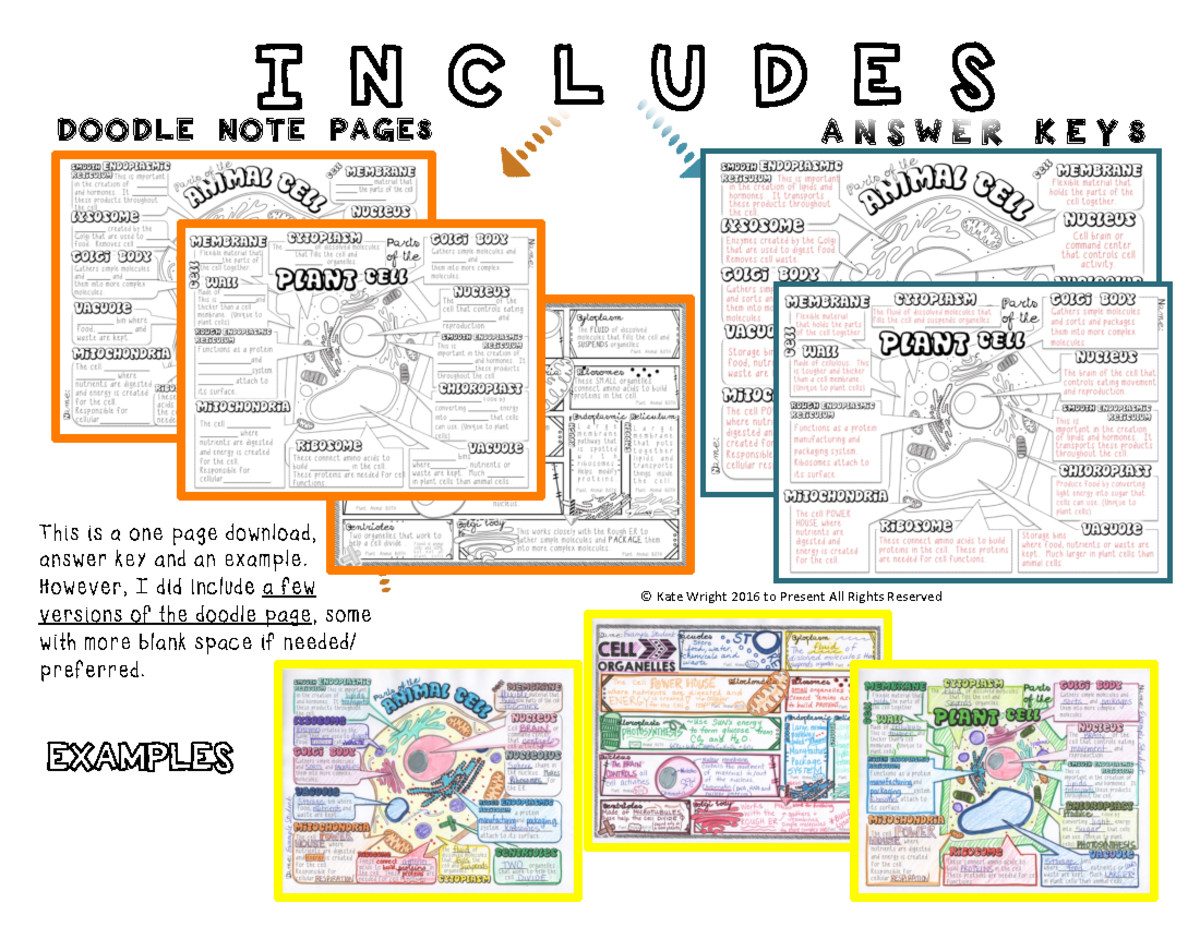 Cell Organelle Doodle Notes for Study and Review - Studocu