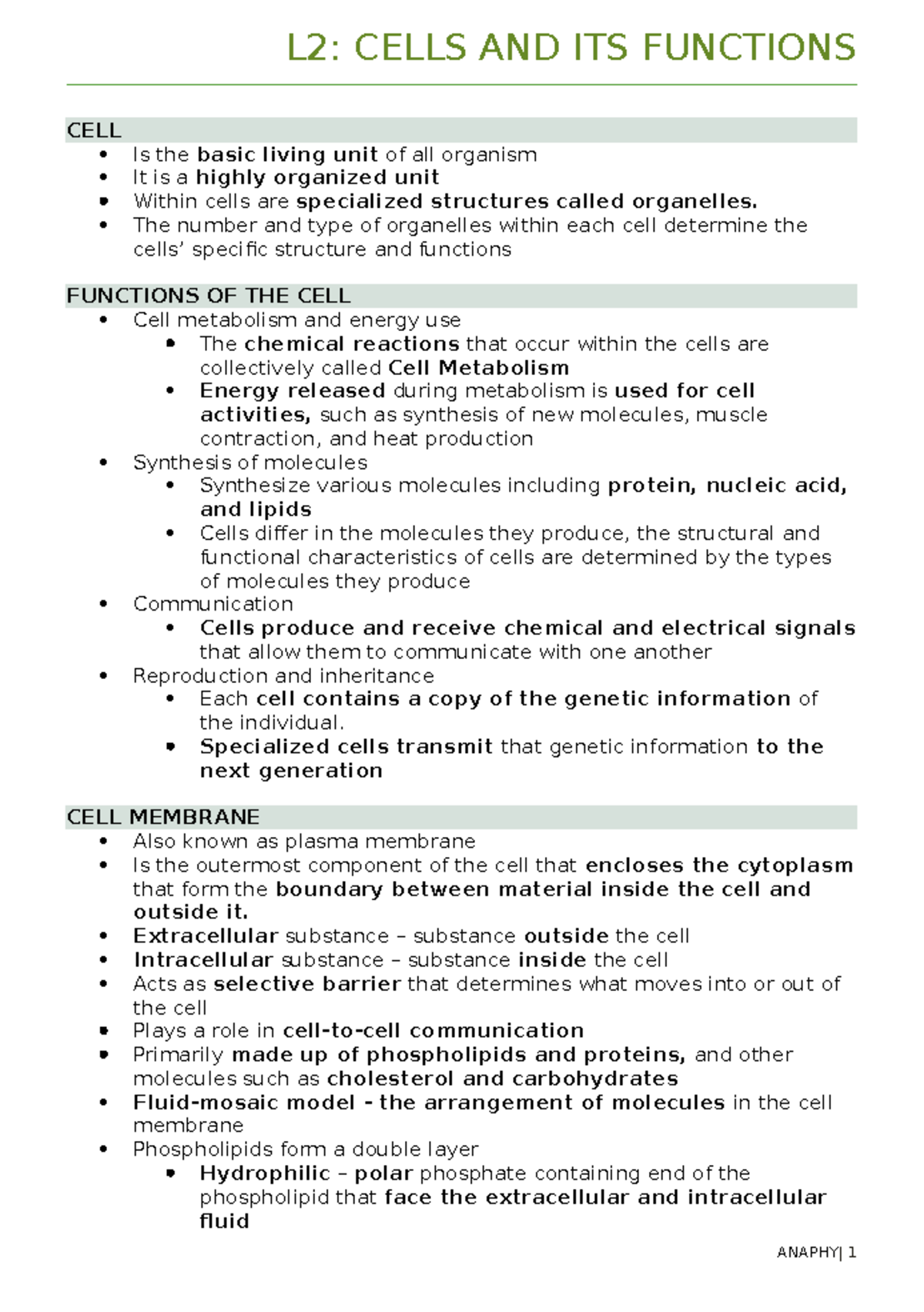 L2 CELL AND ITS Functions - CELL Is the basic living unit of all ...