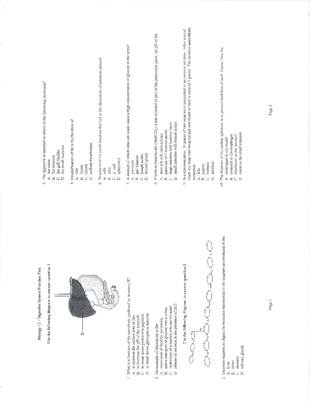 Biology 12 Digestive System Final Exam Practice Test - Studocu
