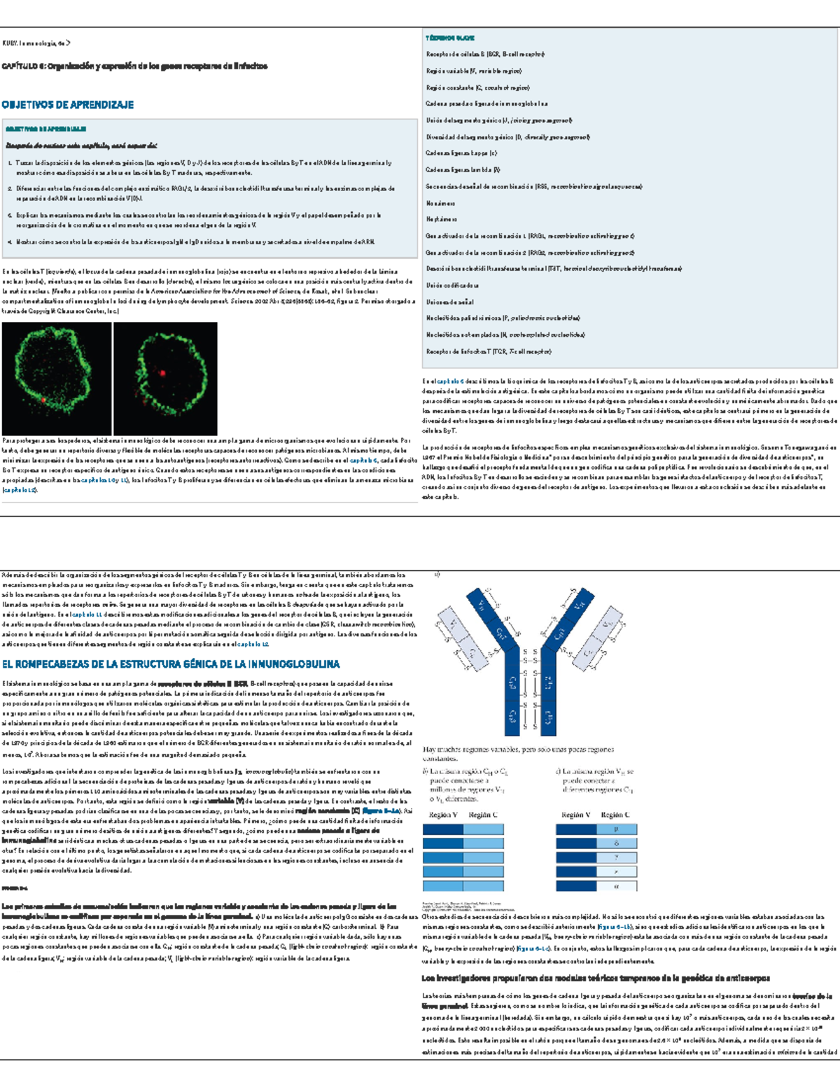 Capitulo 6 Kuby Resumen Kuby Immunology Kuby Inmunología 8e