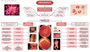 Micosis Superficiales: Clasificación y Diagnóstico de Infecciones ...
