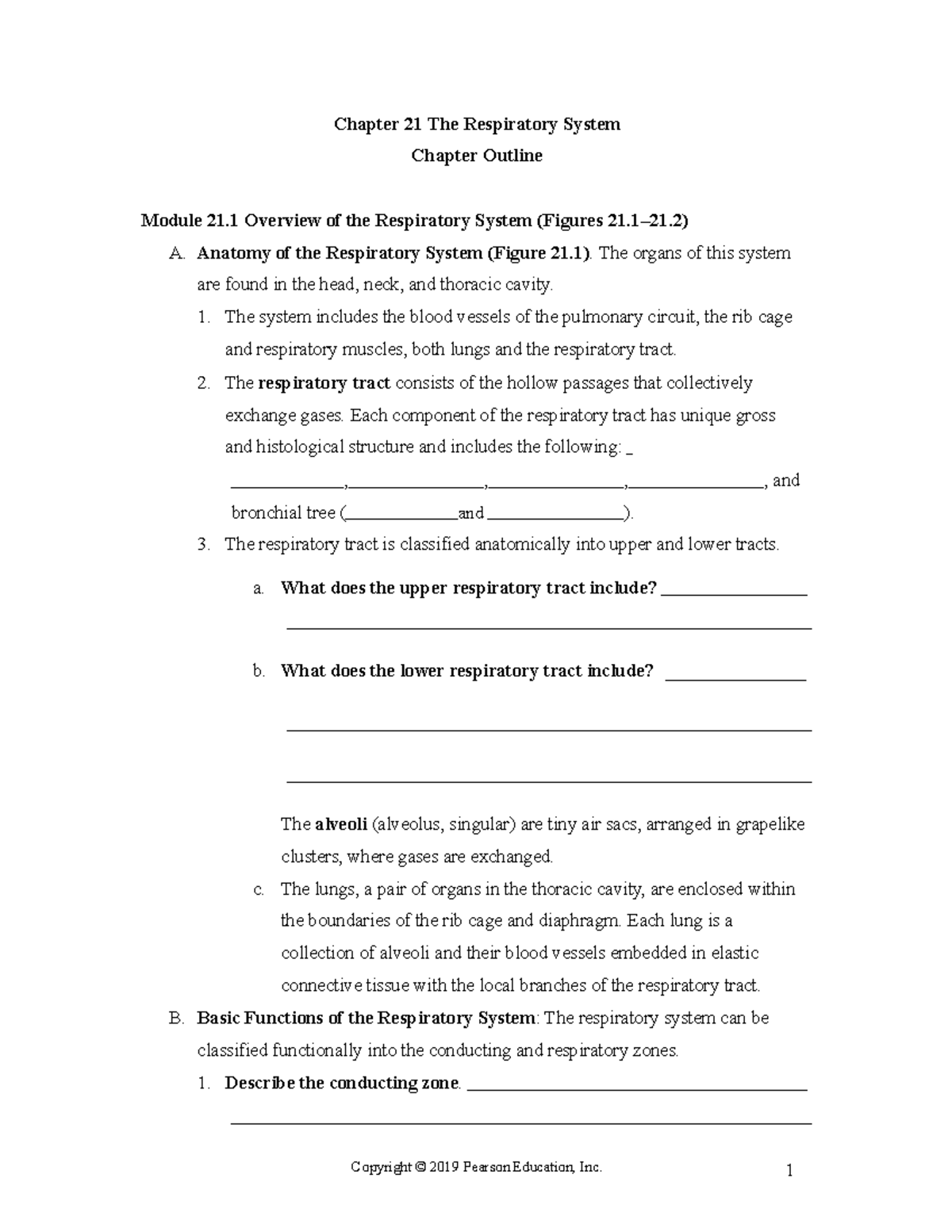 Ch 21 Lecture Notes: Overview of the Respiratory System - Studocu