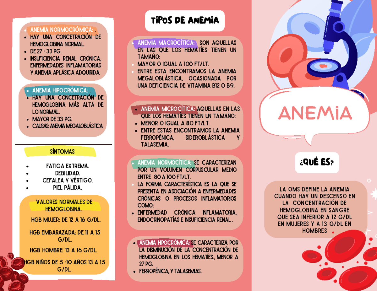 Anemia: Tipos, Síntomas y Tratamiento Efectivo - Studocu