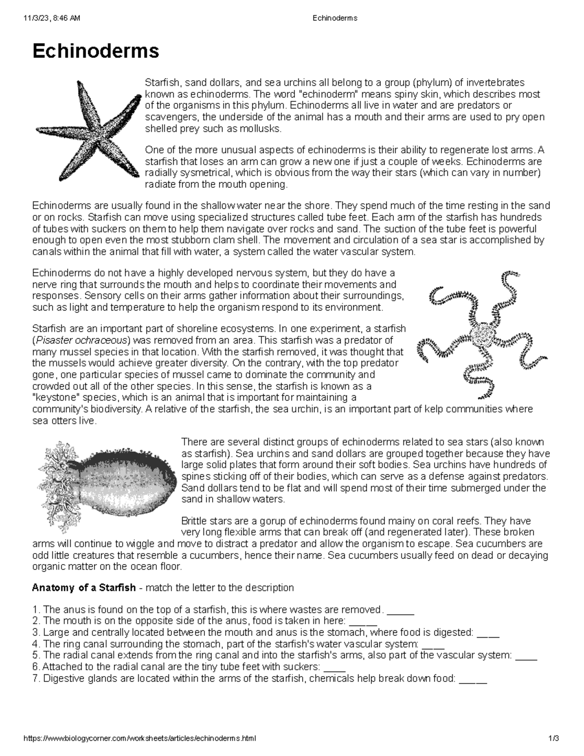 Echinoderm Worksheet - 11/3/23, 8:46 AM Echinoderms - Studocu