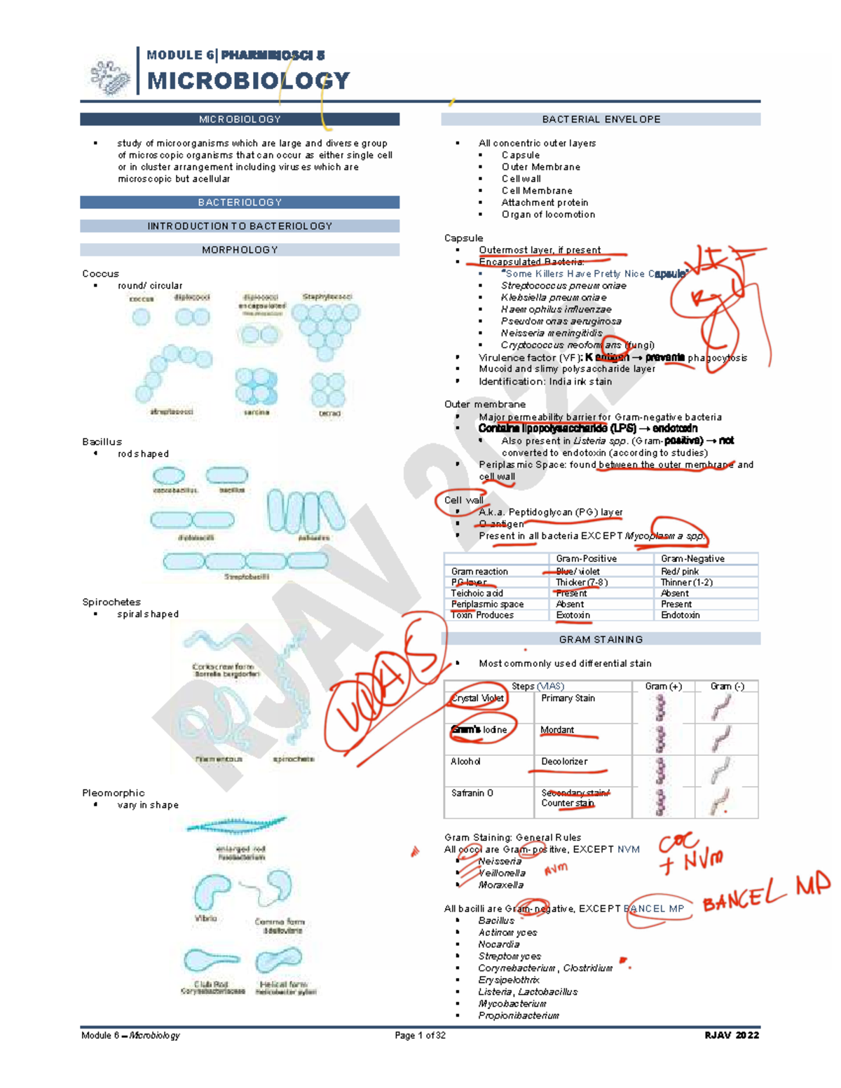 MODULE 6: MICROBIOLOGY AND PARASITOLOGY STUDY NOTES - Studocu