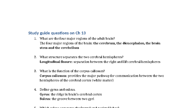 Ch 13 Study Guide: Key Questions on Brain Structure & Function - Studocu