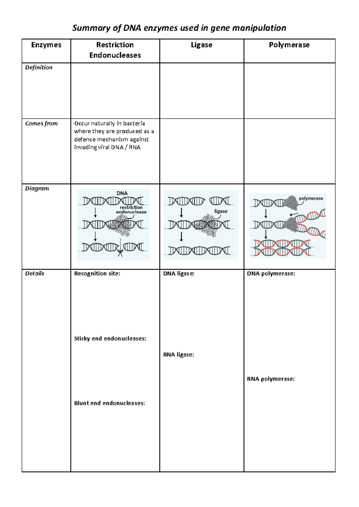 7 - Enzymes in DNA Manipulation - Summary of DNA enzymes used in gene ...