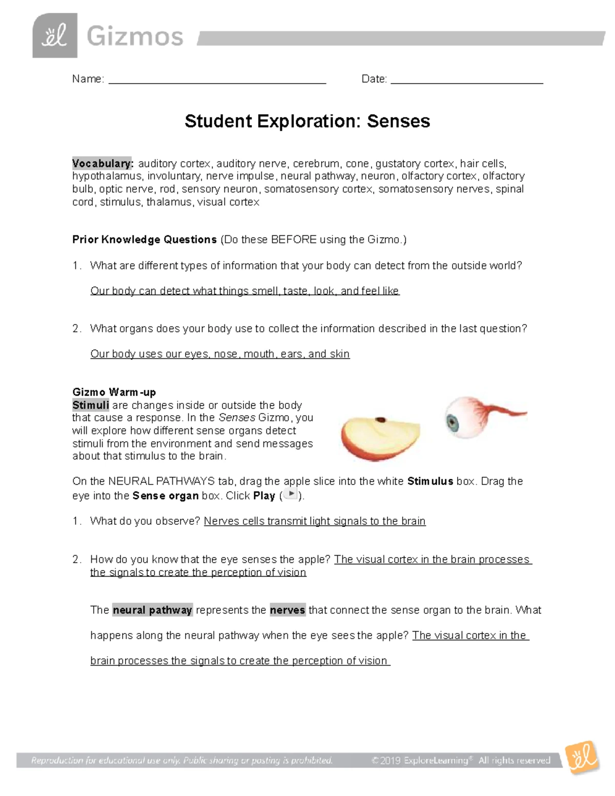 Plate Tectonics Lab Report: Observations & Analysis of Earth’s ...
