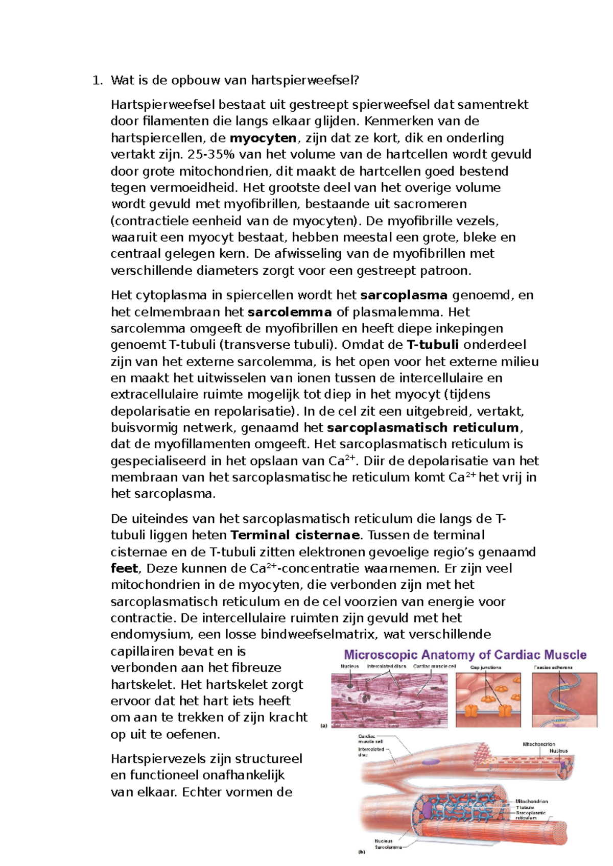 Hartspierweefsel en Contractie: Inzicht in de Myocyt - Casus 1 ...