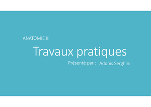 Cours VRD - Module des voiries et réseaux divers VRD + EXERCICES D'APPLICATION - 1 Réalisé par ...