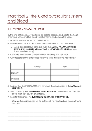 QAdds Chart - NUR1100 - Studocu