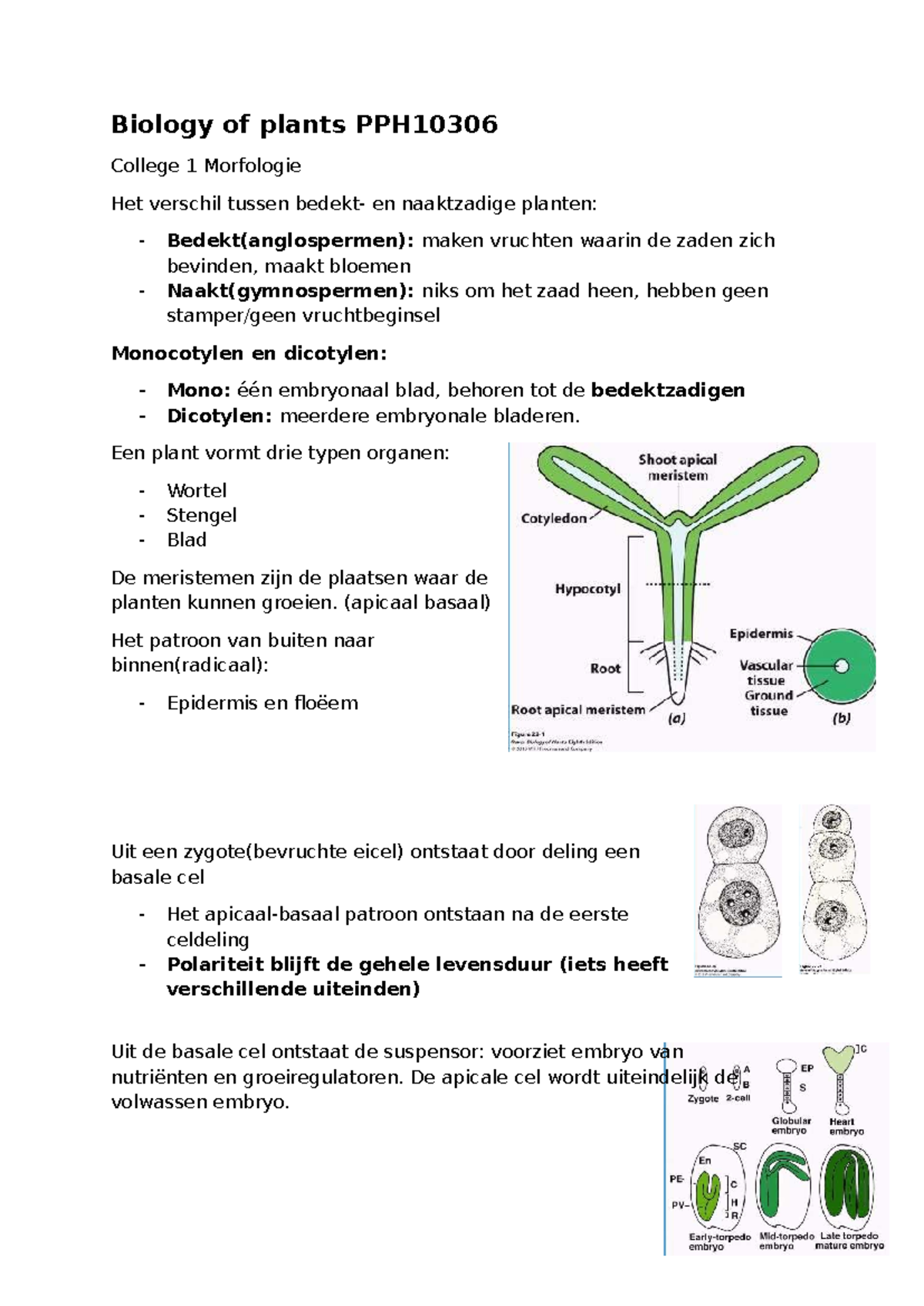Biologie van Planten - College 1 & 3 Samenvatting Notities - Studeersnel