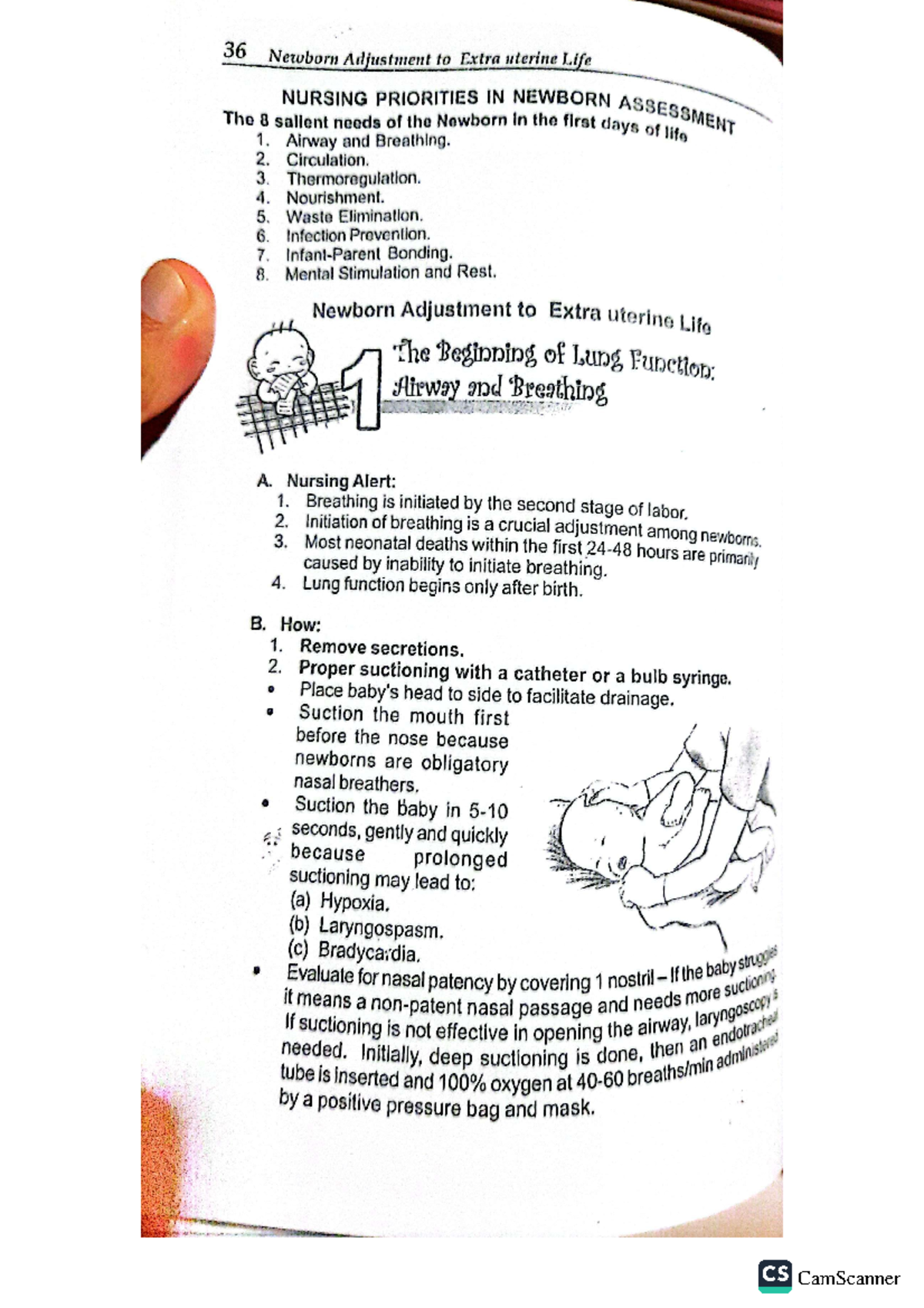 Newborn adjustment to extrauterine life - 36 Newborn Adjustment to Extra uterine Life The 8 ...