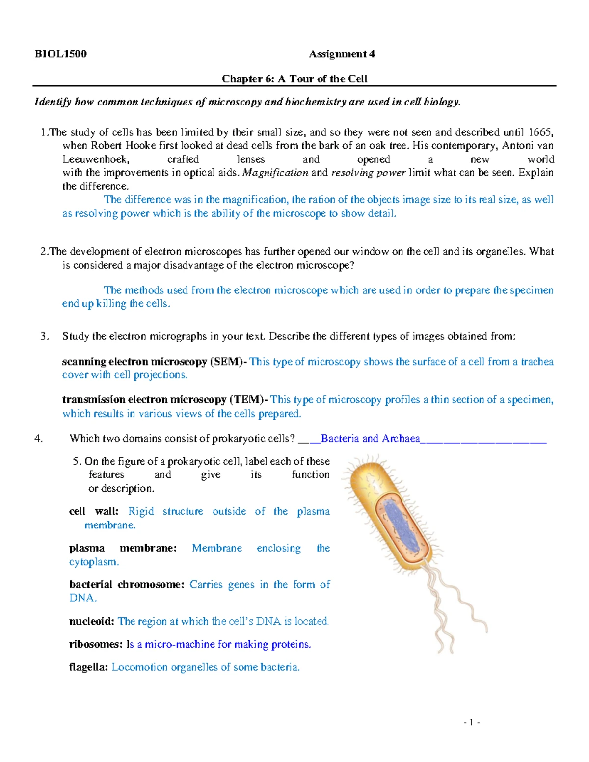 BIO202 Microscopy Lab Notes: Magnification, Resolution, and ...