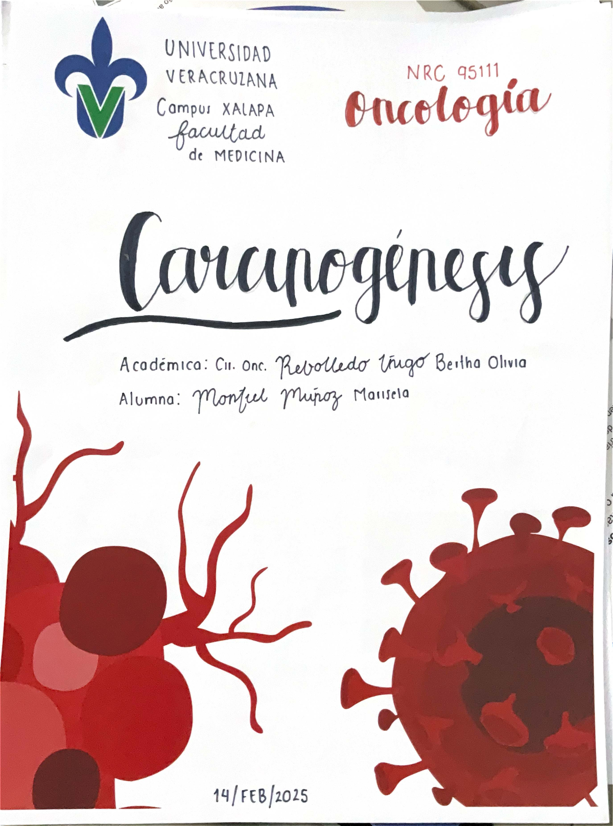 Act#1 Carcinogénesis: Proceso y Factores en Oncología (NRC) - Studocu