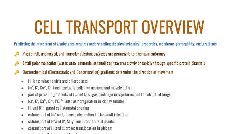 Cell Transport Overview: Mechanisms & Processes (BIO 101) - Studocu