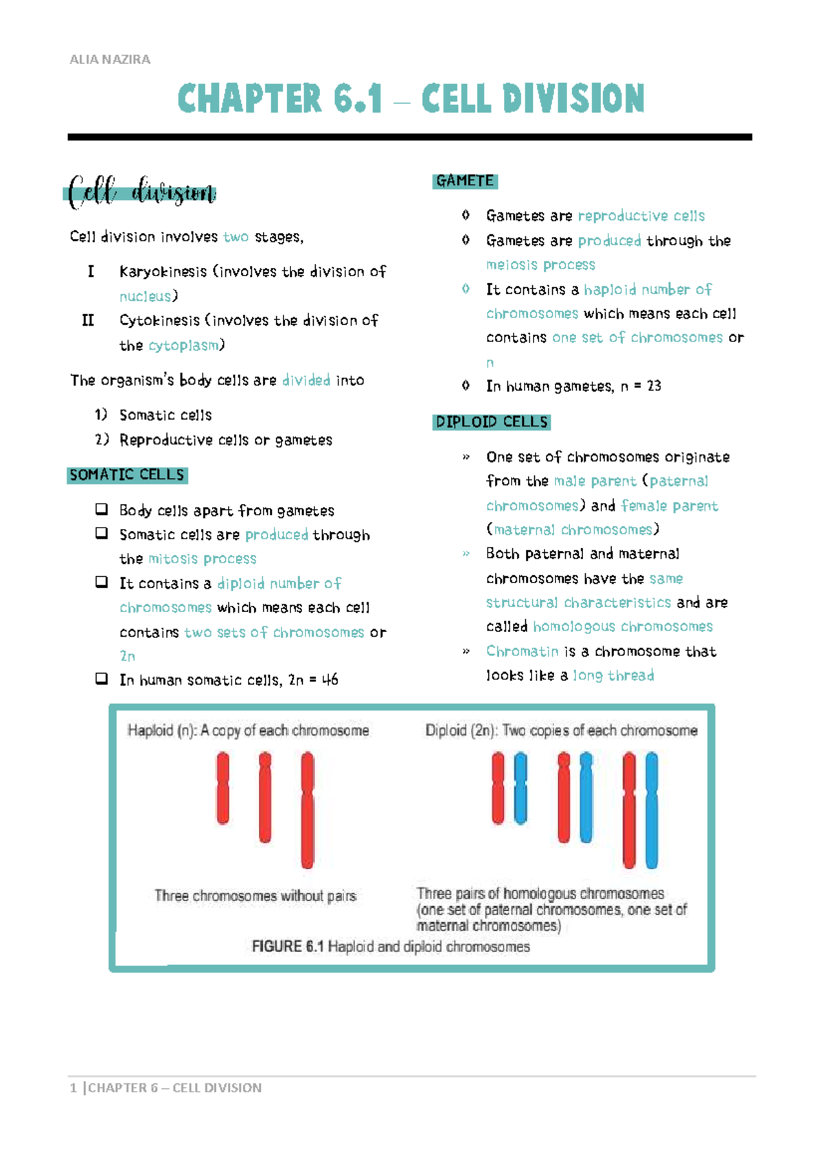 Chapter 6 - Cell Division Notes (ALIA NAZIRA) - Studocu