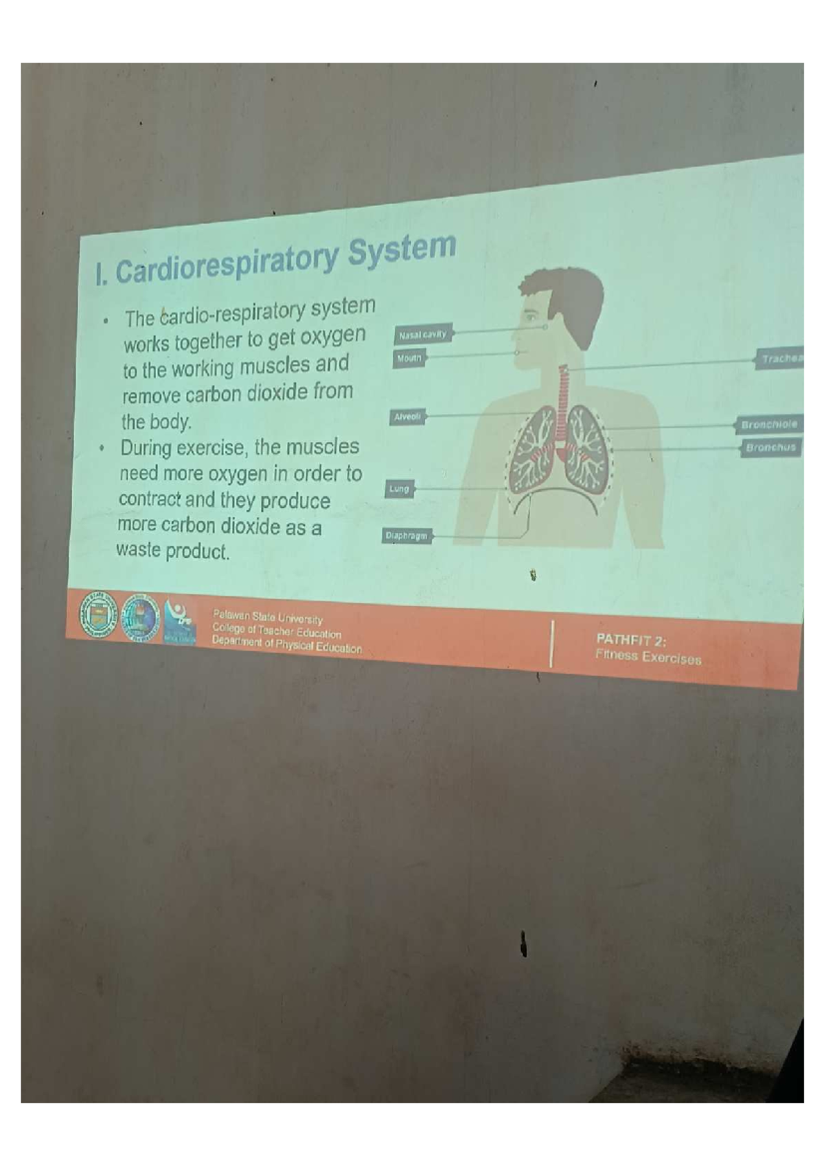 PATHFIT 2: Cardiorespiratory System Overview and Functions - Studocu
