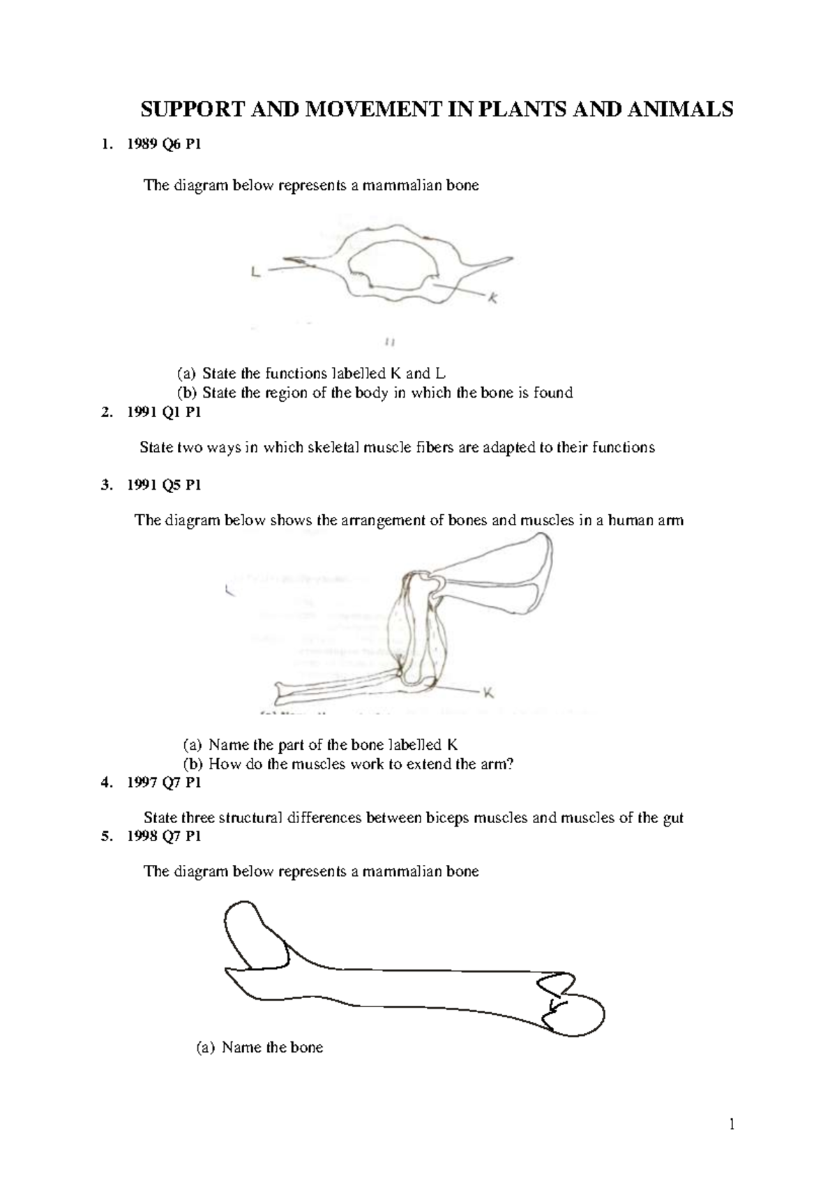 Support AND Movement IN Plants AND Animals - SUPPORT AND MOVEMENT IN ...