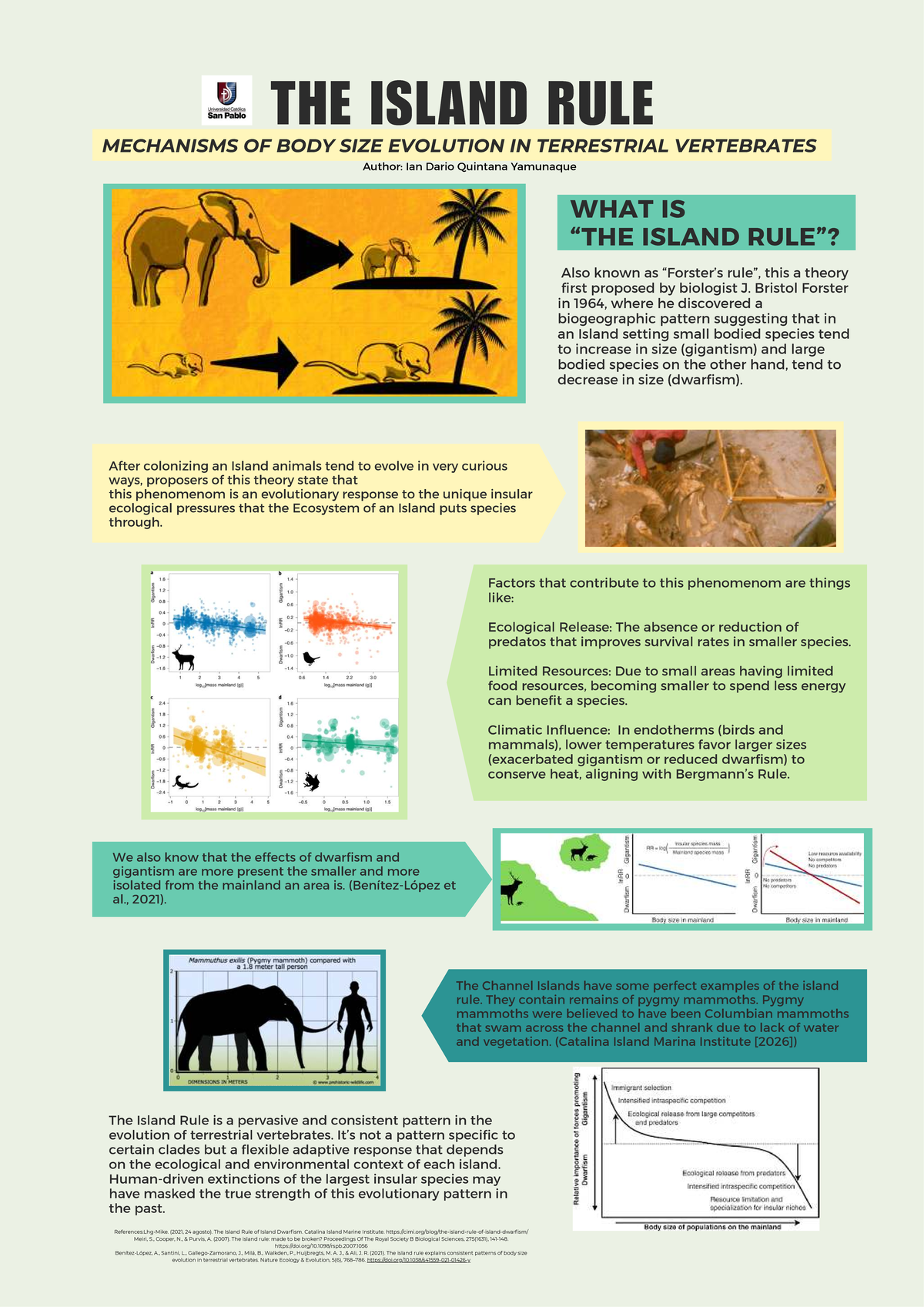Island Rule: Body Size Evolution in Terrestrial Vertebrates - Studocu