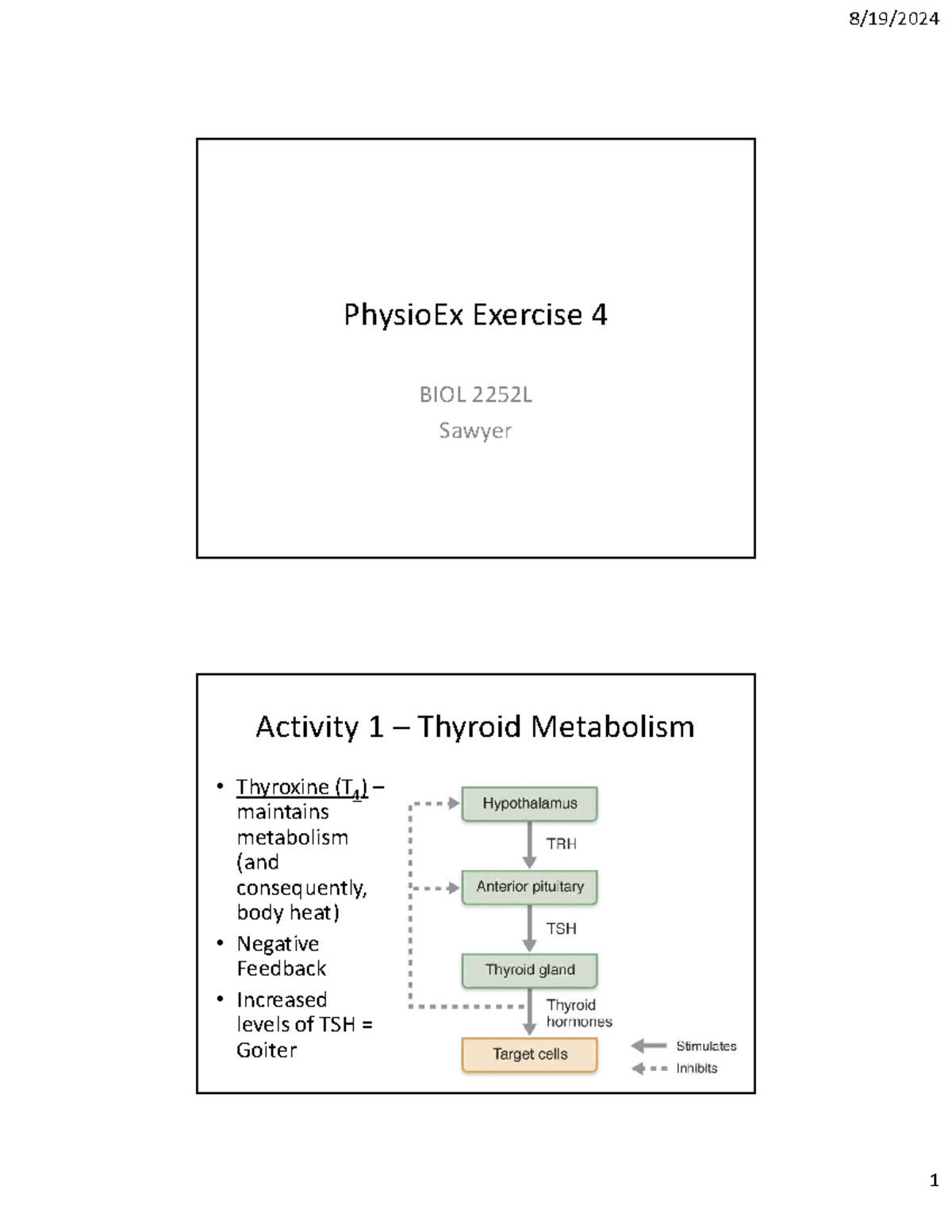 PhysioEx Exercise 4 Review for BIOL 2252L: Metabolism & Hormones ...