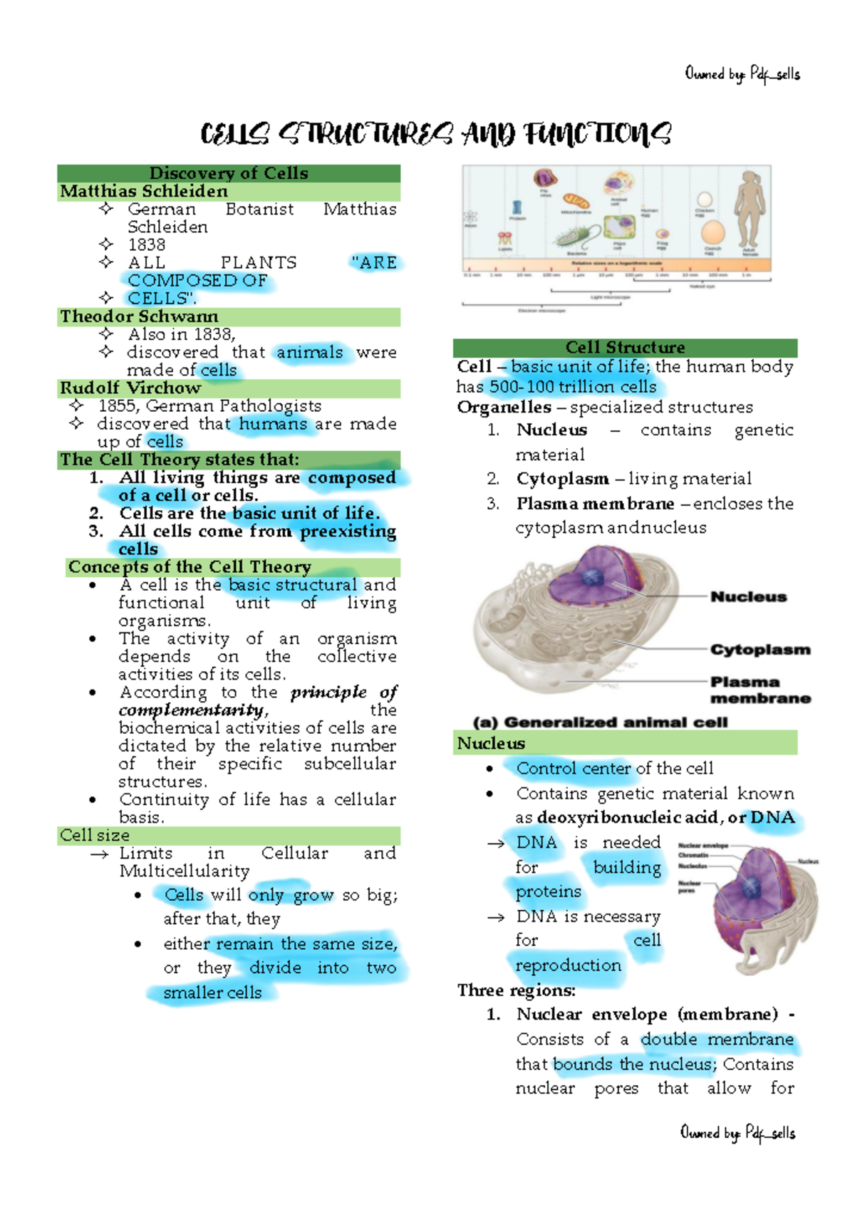 Cells: Structures, Functions, and the Cell Theory Overview (BIO101) - Studocu