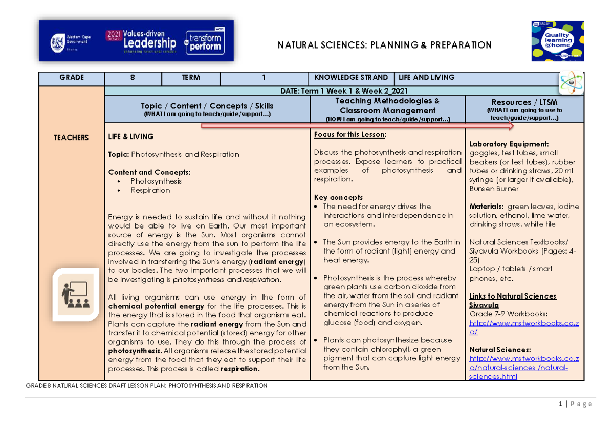 GRADE 8 NATURAL SCIENCES: PHOTOSYNTHESIS & RESPIRATION LESSON PLAN ...