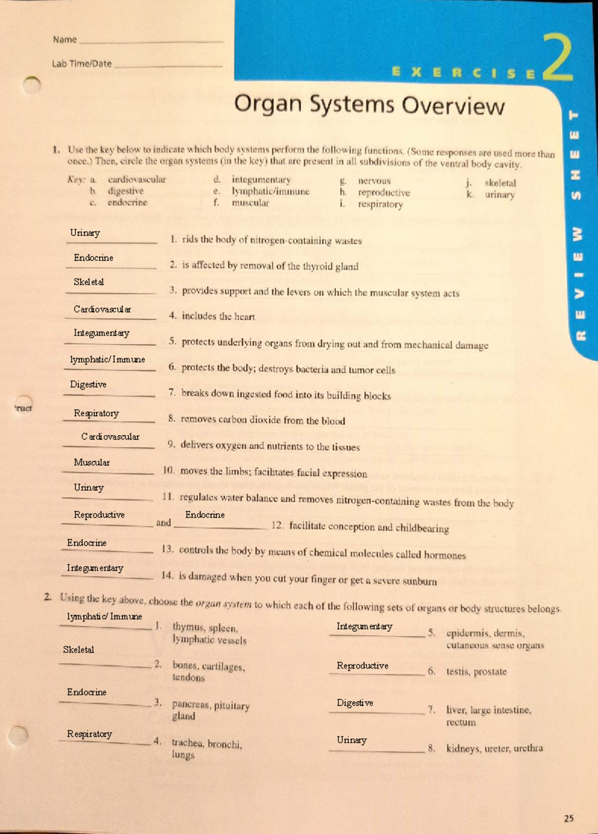 Organ Systems Overview Lab Exercise 1: Functions & Key Systems - Studocu