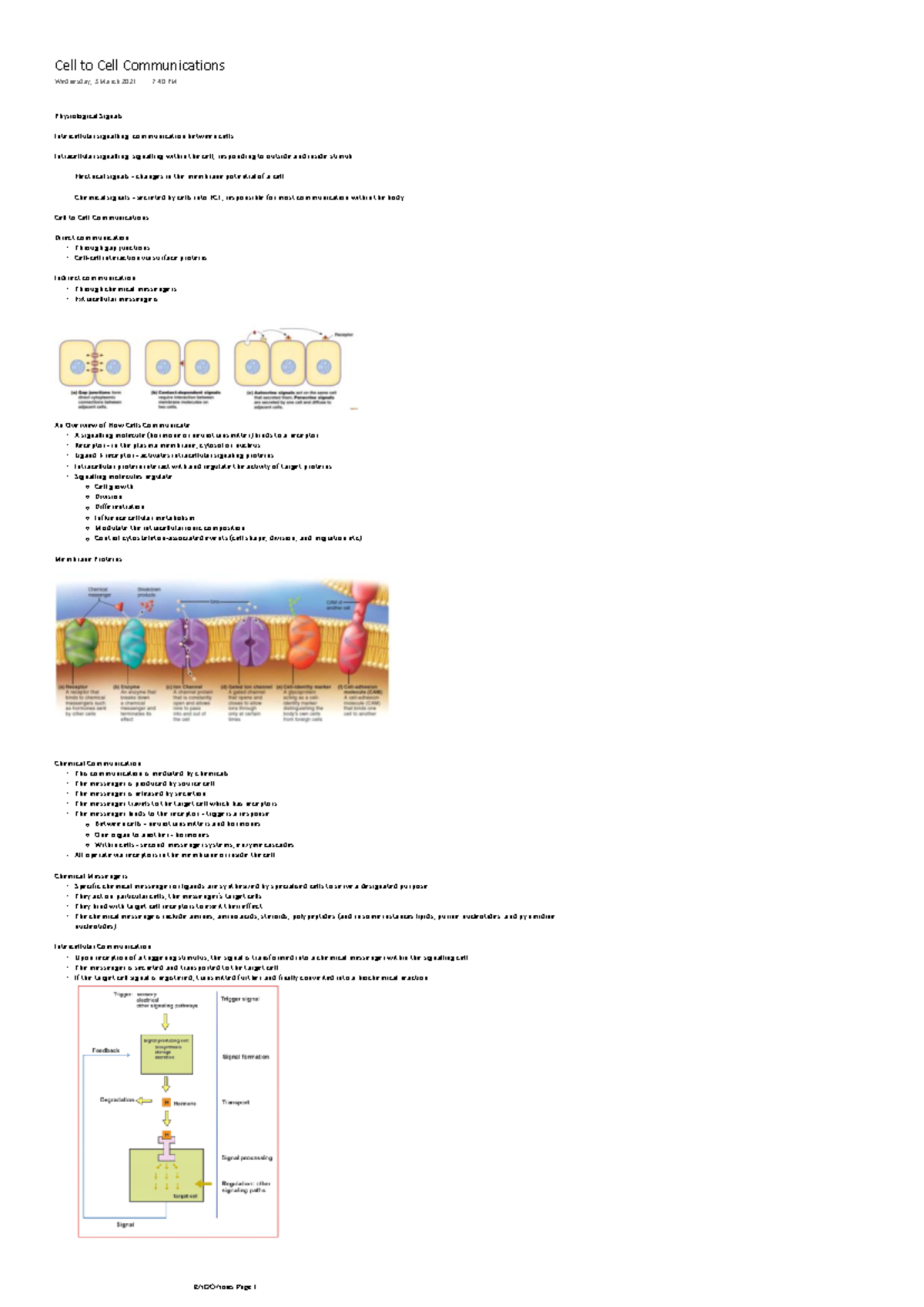 Endocrinology Lecture Notes: Intercellular & Chemical Signaling - Studocu