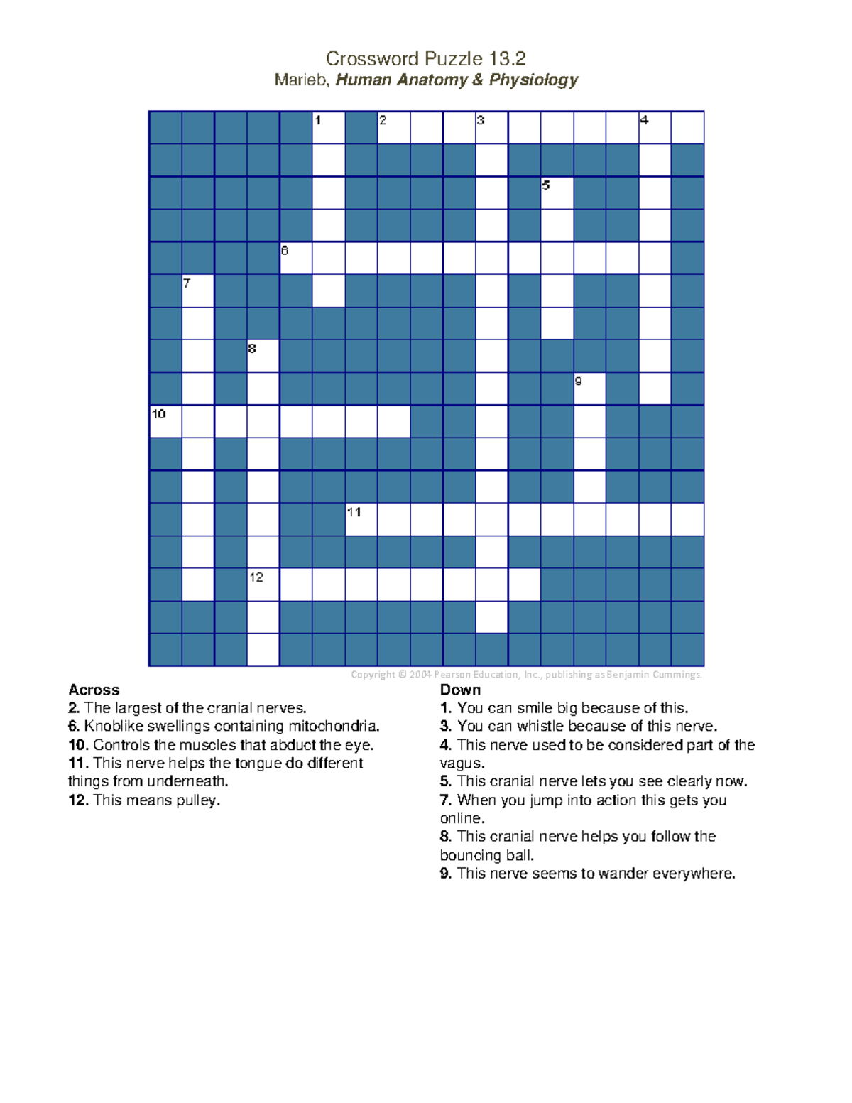 Anatomy Part One Crossword Puzzle