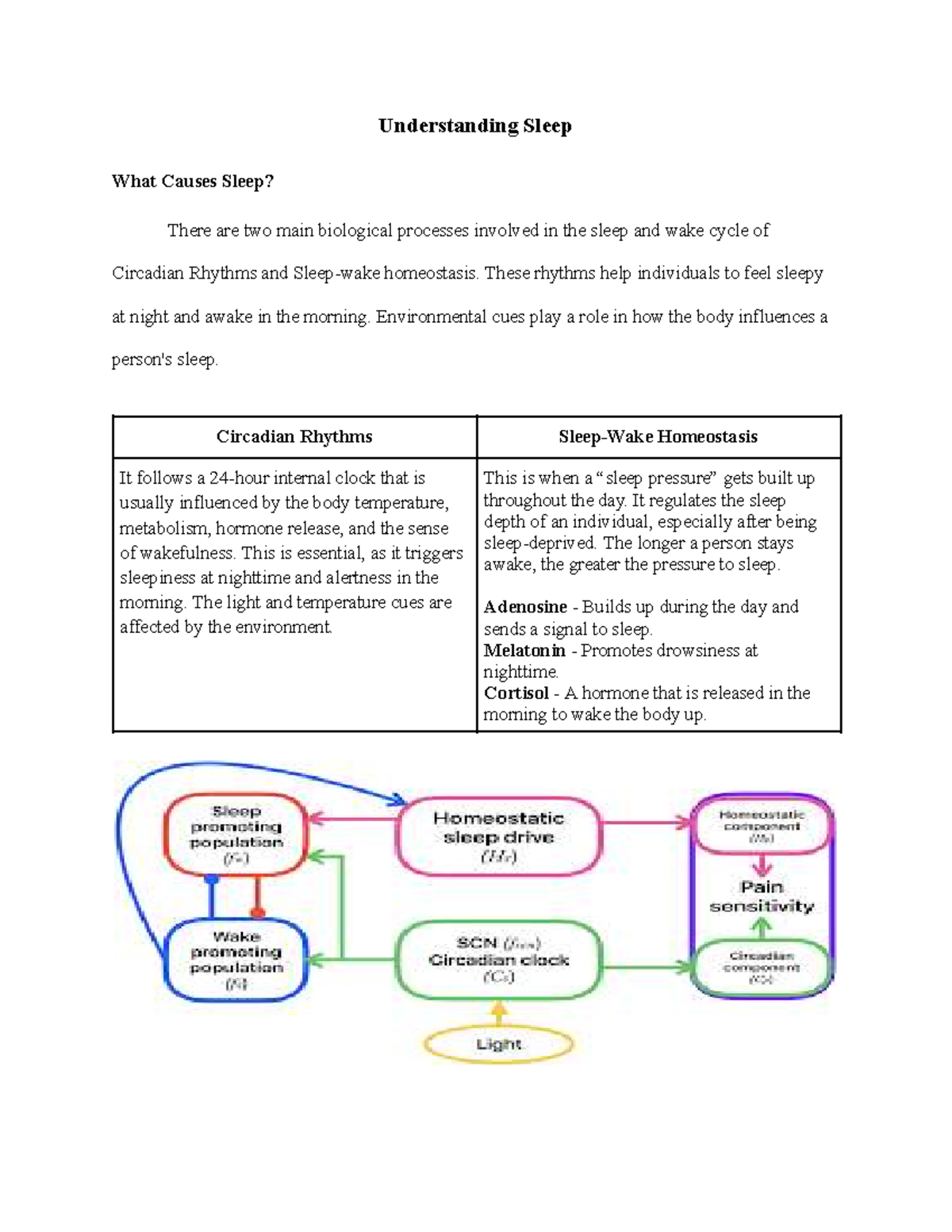 Understanding Sleep: Biological Processes and Influences (Week 5 ...