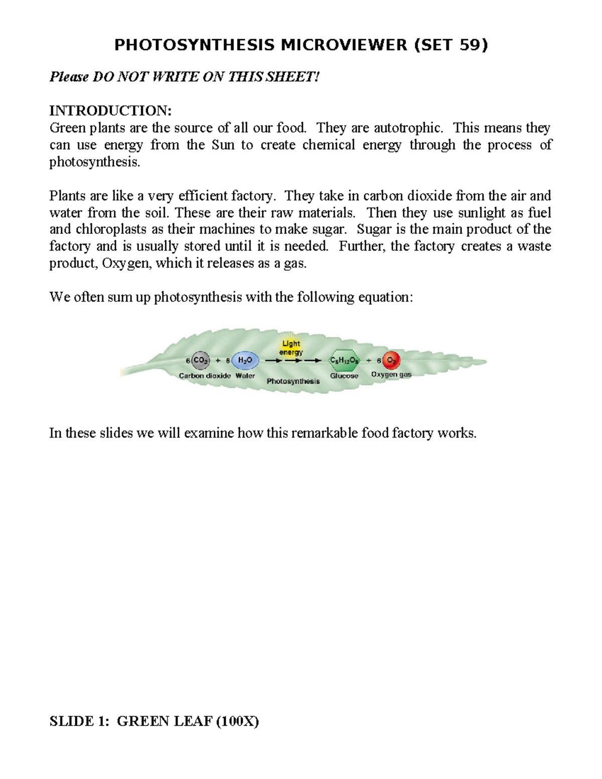 Photosynthesis Microviewer (Set 59) - Detailed Study Guide - Studocu