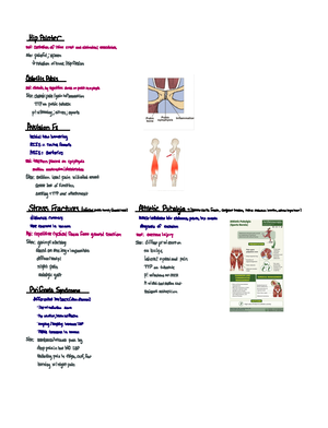 Conditions Worksheet Spine - CONDITIONS ACUTE/CHRONIC MOI STRUCTURES ...