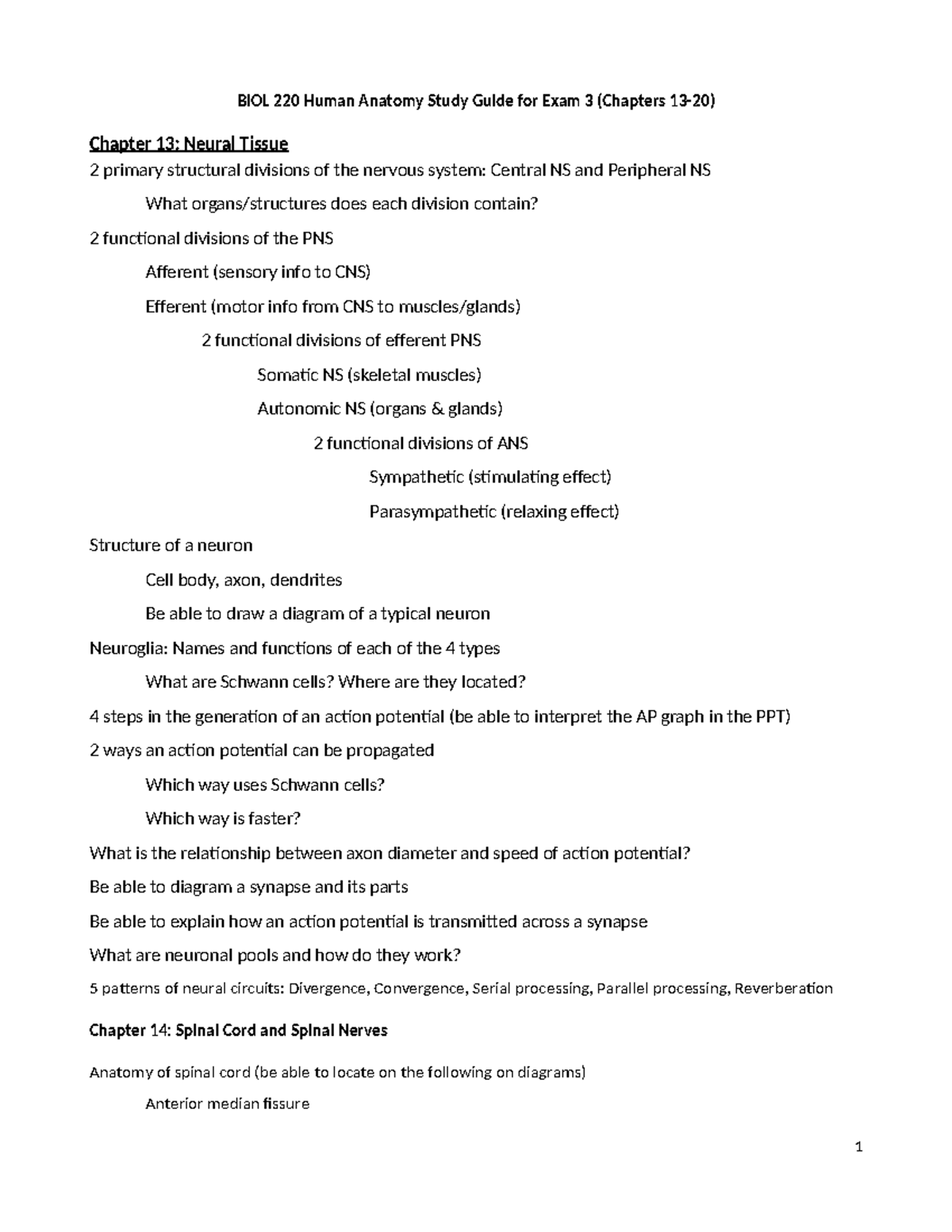BIOL 220 Human Anatomy Study Guide for Exam 3 (Ch. 13-20 Overview ...